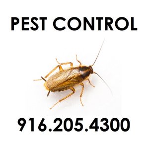 FAST ACTION PEST CONTROL - Updated February 2025 - 117 Photos & 559 ...