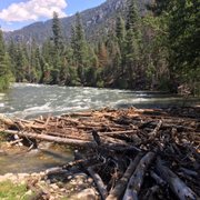 SENTINEL CAMPGROUND - 43 Photos & 18 Reviews - Cedar Grove, CA - Yelp