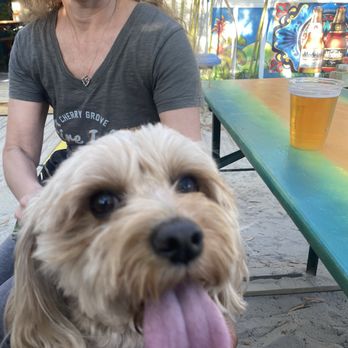 PURPLE PARROT GRILL - Updated July 2024 - 419 Photos & 547 Reviews ...