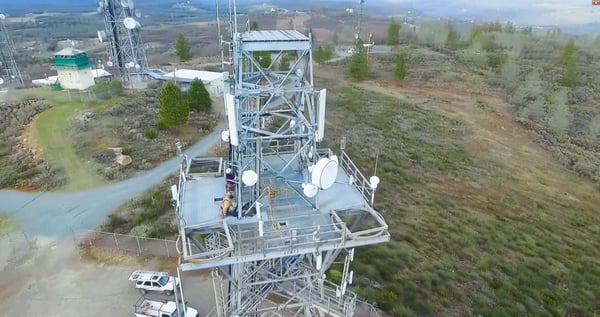 CAL NET - Updated October 2025 - 21 Photos & 115 Reviews - 4101 Wild ...