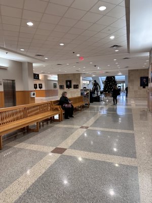 COLLIN COUNTY COURTHOUSE - Updated January 2026 - 27 Photos & 22 Real ...