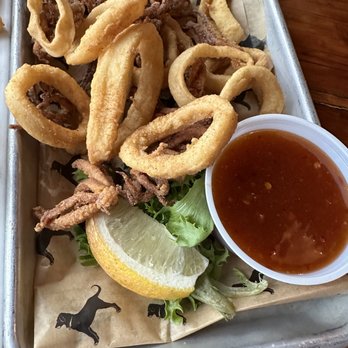 THE BLACK DOG TAVERN - Updated June 2024 - 391 Photos & 504 Reviews ...