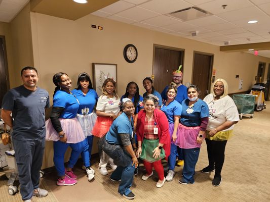 PAM HEALTH REHABILITATION HOSPITAL OF SUGAR LAND - Updated December ...