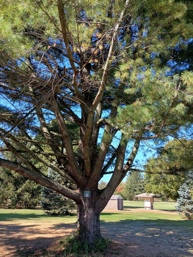 OAK RIDGE PARK - Updated December 2025 - 43 Photos & 11 Reviews - 103 ...