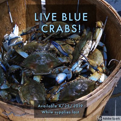 HOOKED MEAT & SEAFOOD MARKET - 125 Photos & 28 Reviews - 1320 Stallings ...