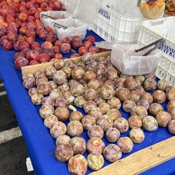 RESENDIZ FAMILY FRUIT BARN - Updated February 2025 - 141 Photos & 128 ...