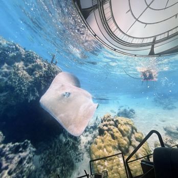 COSM DALLAS - Updated April 2025 - 233 Photos & 114 Reviews - 5776 ...