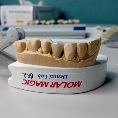 MOLAR MAGIC DENTAL LAB - Updated January 2026 - 3320 Holland Rd ...