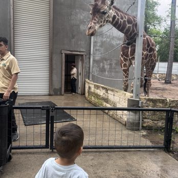 HOUSTON INTERACTIVE AQUARIUM AND ANIMAL ADVENTURE - Updated October ...