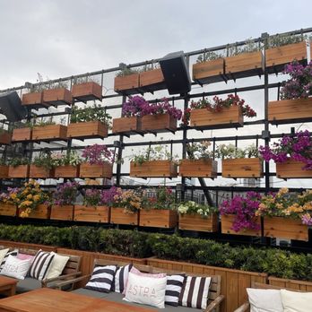 ASTRA - Updated May 2024 - 826 Photos & 708 Reviews - 2121 NW 2nd Ave ...