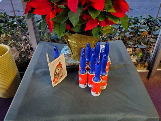 REX CLEANERS - Updated December 2025 - 45 Photos & 183 Reviews - 60 ...