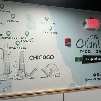 CILANTRO TACO GRILL - ROSEMONT - Updated April 2026 - 309 Photos & 445 ...