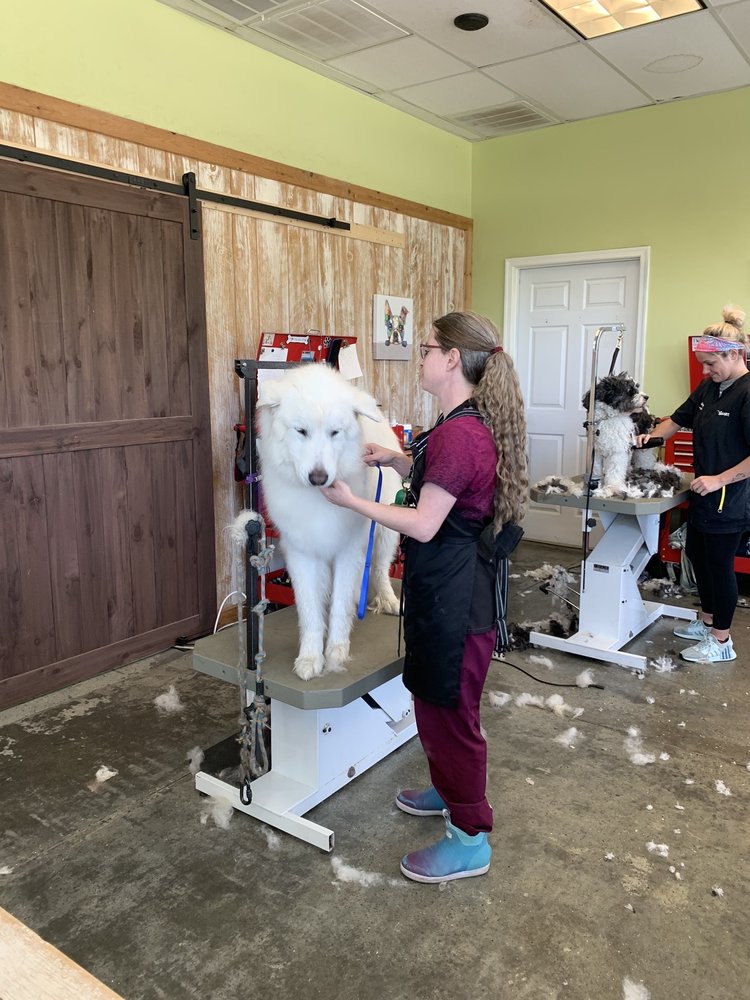 4 THE LOVE OF DOGS - Updated October 2025 - 15 Photos & 21 Reviews ...