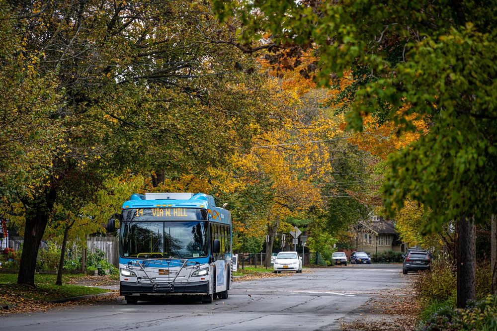 TCAT - Updated October 2025 - 25 Photos & 18 Reviews - 737 Willow Ave ...