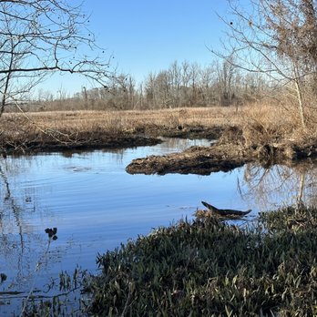 OCCOQUAN BAY NATIONAL WILDLIFE REFUGE - Updated November 2025 - 81 ...