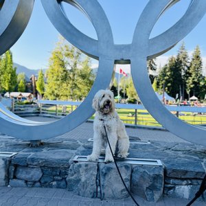 WHISTLER RACKET CLUB - Updated June 2025 - 4500 Northlands Boulevard ...