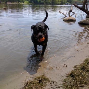 FOX RIVER BLUFF DOG PARK - Updated October 2025 - 31 Photos & 11 ...