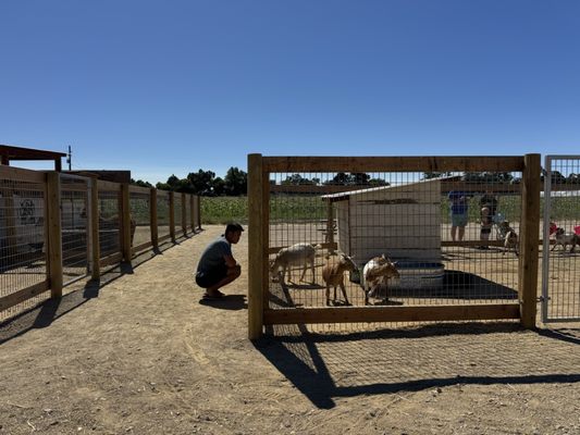 SLO RANCH FARMS - Updated December 2025 - 380 Photos & 43 Reviews - 871 ...