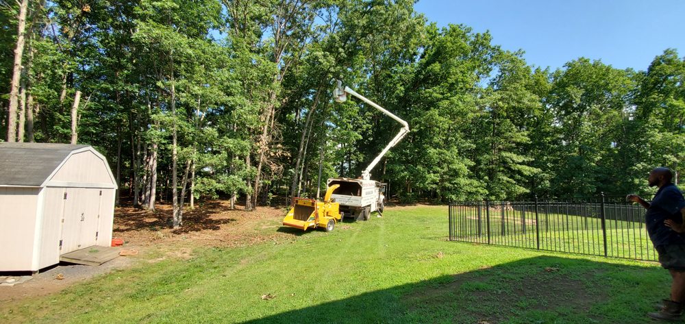 SMITTYS TREE SERVICE - Updated December 2025 - 24 Photos & 23 Reviews ...
