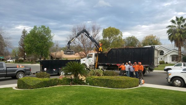 RANCHO TREE SERVICE - Updated January 2026 - 41 Photos & 44 Reviews ...