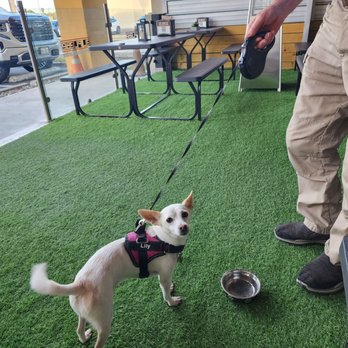 TACOS EL PLEBE - Updated October 2025 - 27 Photos & 16 Reviews - 2307 W ...