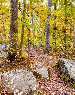 ST. PETER’S VILLAGE - Updated October 2025 - 44 Photos & 12 Reviews ...