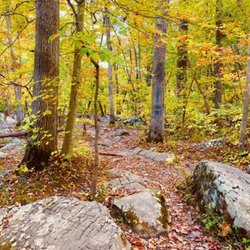 ST. PETER’S VILLAGE - 44 Photos - 3471 St Peter's Rd, Saint Peters ...