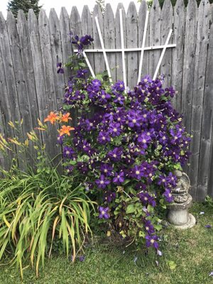 FULTON FARMS - Updated December 2025 - 46 Photos & 17 Reviews - 2393 S ...