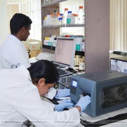 Biogenex Laboratories - Laboratory Testing - 49026 Milmont Dr, Fremont ...