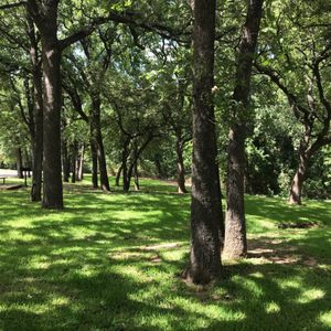 EULESS AQUATICS CENTER - 19 Reviews - Swimming Pools - 300 W Midway Dr ...