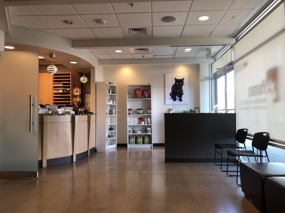 AURORA ANIMAL HOSPITAL - Updated October 2025 - 65 Photos & 154 Reviews ...