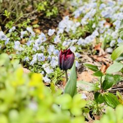 THE 10 BEST Things to Do in Silver City, GA - 2025 - Yelp