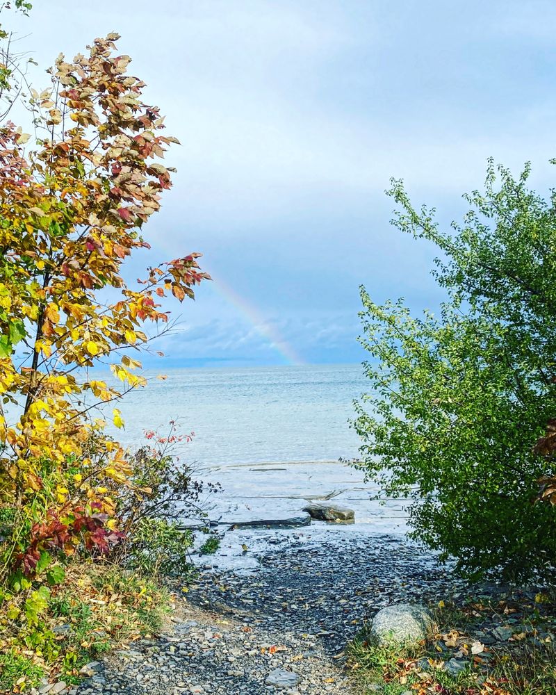 DELPHI POINT - Updated April 2024 - Request Consultation - Collingwood ...