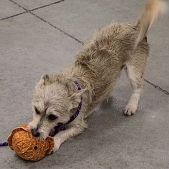 FRIENDS FOR LIFE ANIMAL RESCUE - Updated January 2026 - 43 Photos & 59 ...