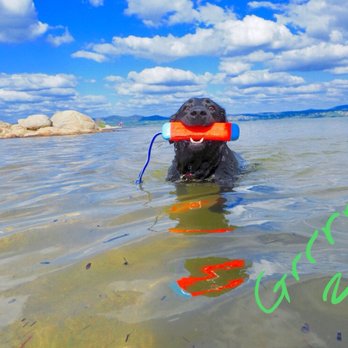 BEALS POINT CAMPGROUND - Updated June 2024 - 53 Photos & 28 Reviews ...