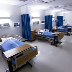 STANBRIDGE UNIVERSITY - 80 Photos & 288 Reviews - 2041 Business Center ...