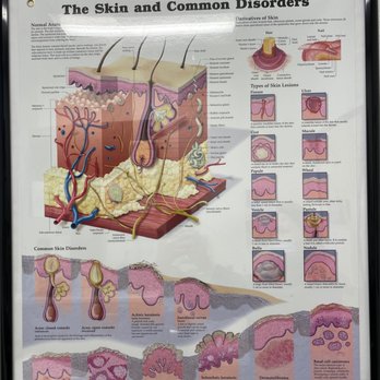 SKIN CANCER & DERMATOLOGY INSTITUTE - Updated October 2025 - 26 Photos & 24 Reviews - 4814 ...