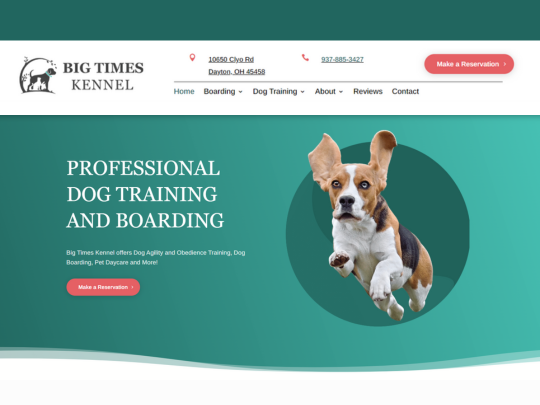 BIG TIMES KENNEL - Updated December 2025 - 18 Reviews - 10650 Clyo Rd ...