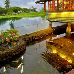 PONDS HILO - Updated October 2025 - 618 Photos & 590 Reviews - 135 ...