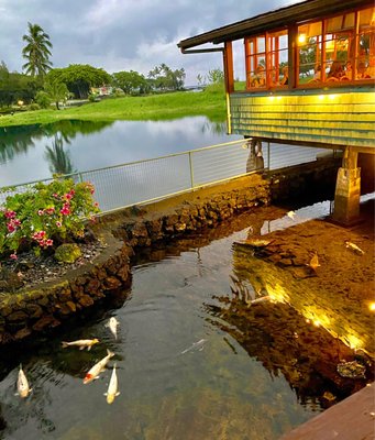PONDS HILO - 513 Photos & 438 Reviews - 135 Kalanianaole Ave, Hilo, HI ...