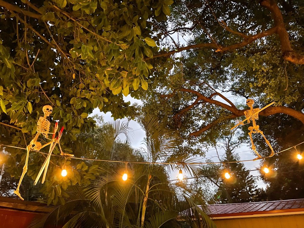 GRIM GALA’S - Updated December 2025 - 25 Photos - Tampa Bay, Florida ...