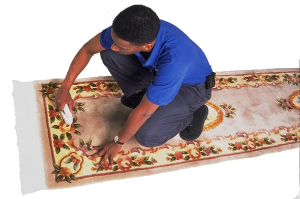 COIT CLEANING AND RESTORATION - Updated October 2025 - 25 Photos - 406 ...