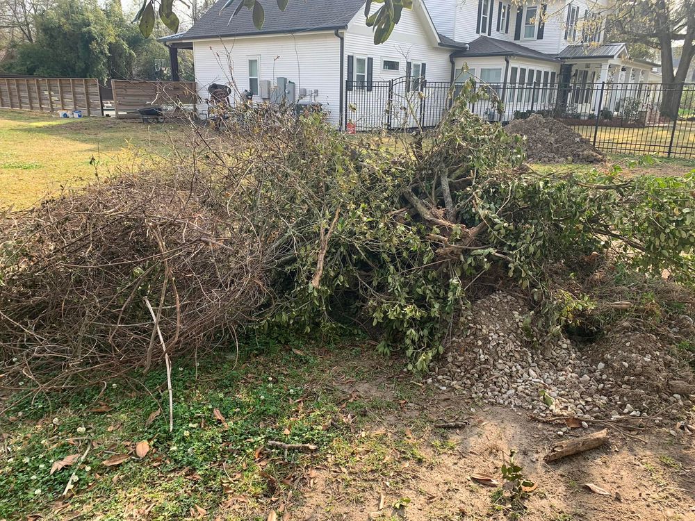 BLACK SHAMROCK DISPOSAL - Updated December 2025 - Request a Quote ...