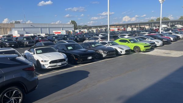 INDY AUTO MAN - Updated December 2025 - 172 Photos & 100 Reviews - 4031 ...