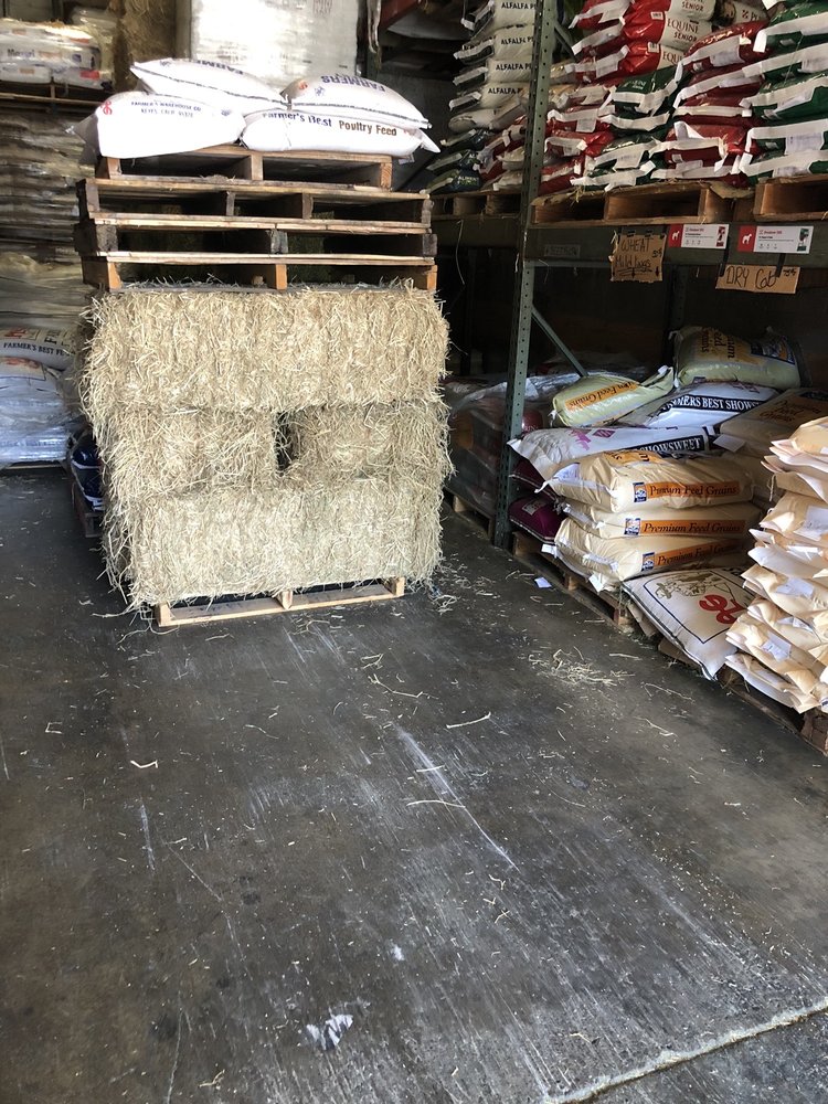 CLOSE FEED & SUPPLY - Updated June 2024 - 11 Photos & 73 Reviews - 727 ...