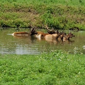 JESTER PARK NATURE CENTER - Updated December 2025 - 70 Photos - 12130 ...