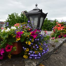 THE CURRAGOWER - Updated December 2025 - 147 Photos & 142 Reviews ...