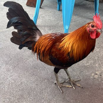 HOOK’D USVI - Updated July 2024 - 243 Photos & 158 Reviews - Red Hook ...