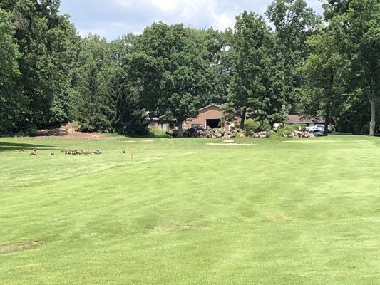 MAYFAIR COUNTRY CLUB - Updated December 2025 - 2229 Raber Rd, Green ...