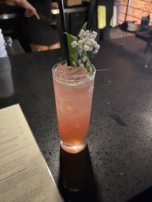 ALORA - Updated January 2026 - 10 Photos - 34 Clarence Street, Ottawa ...